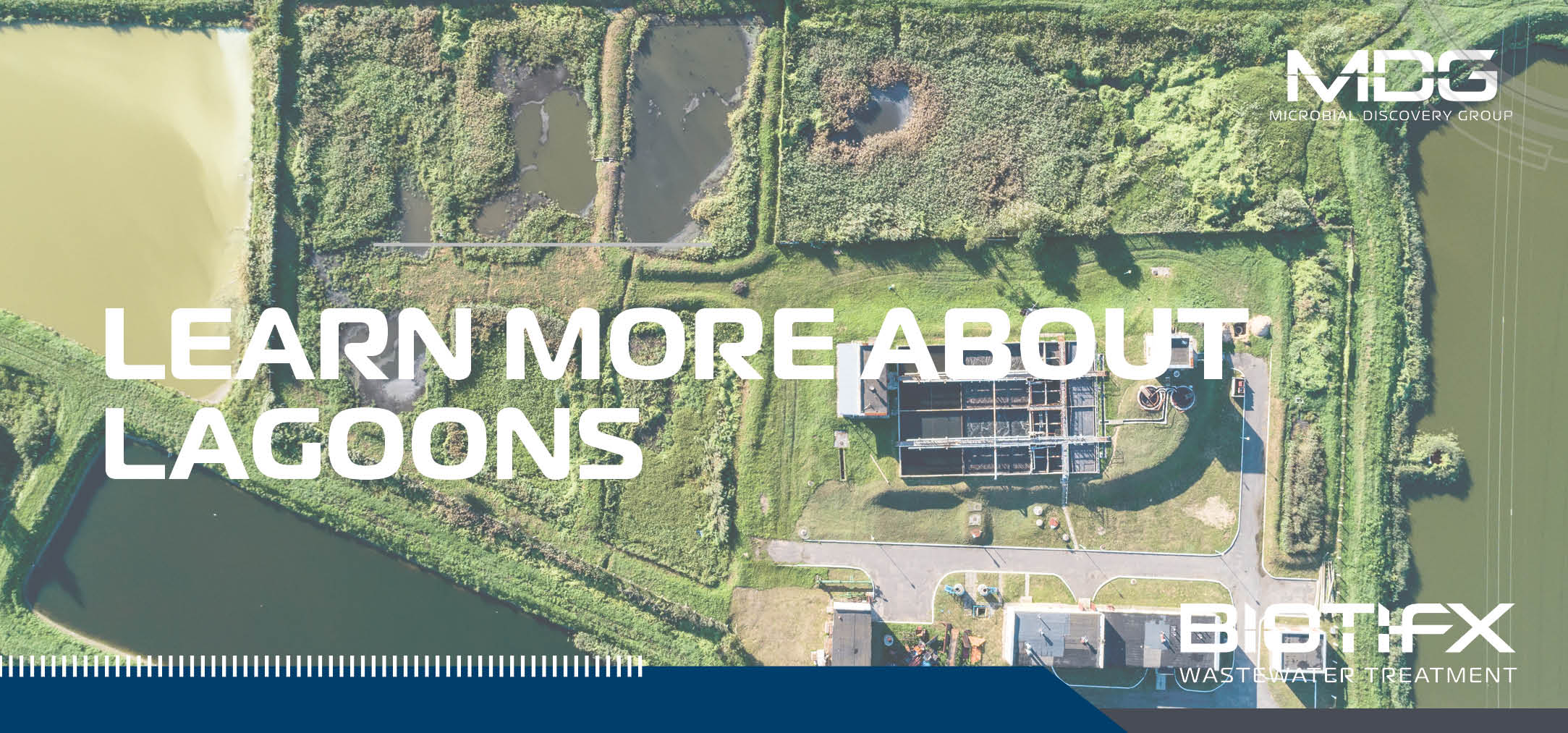 Lagoons 101: Identification and Long-Term Treatment Approach ...